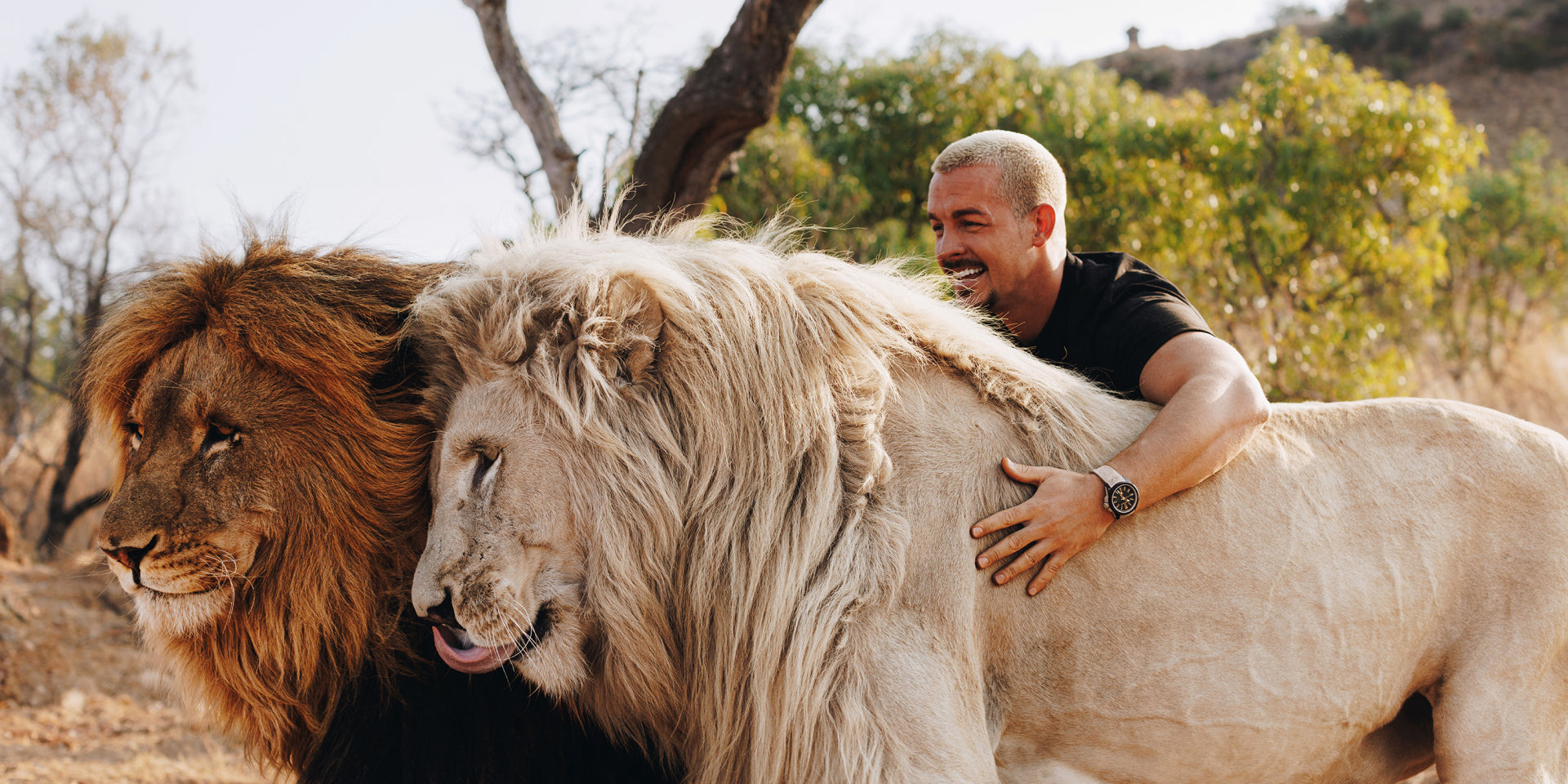 Dean Schneider - NORQAIN